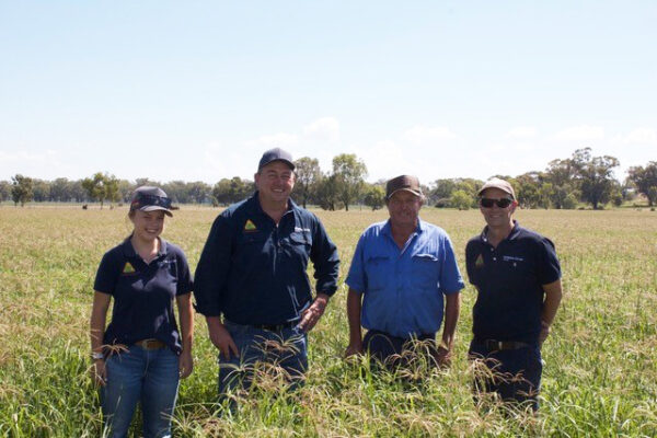 The great 2024 hay run begins! - Bowral Co-op